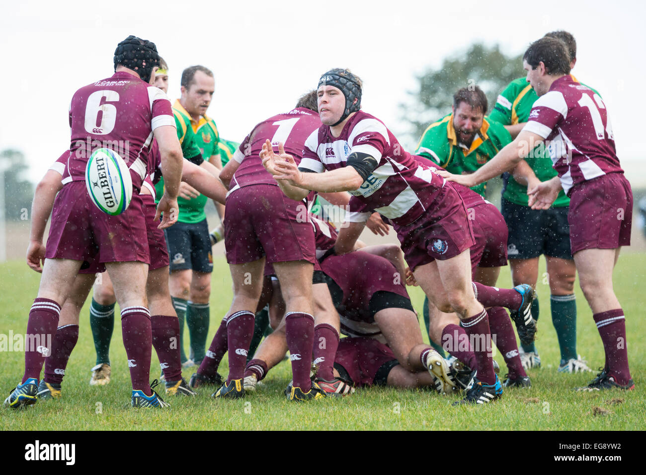 Scrum half releasing ball hi-res stock photography and images - Alamy