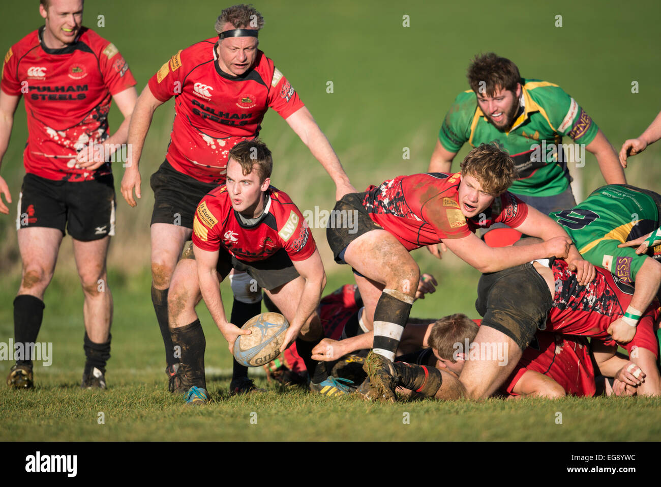 Scrum half releasing ball hi-res stock photography and images - Alamy