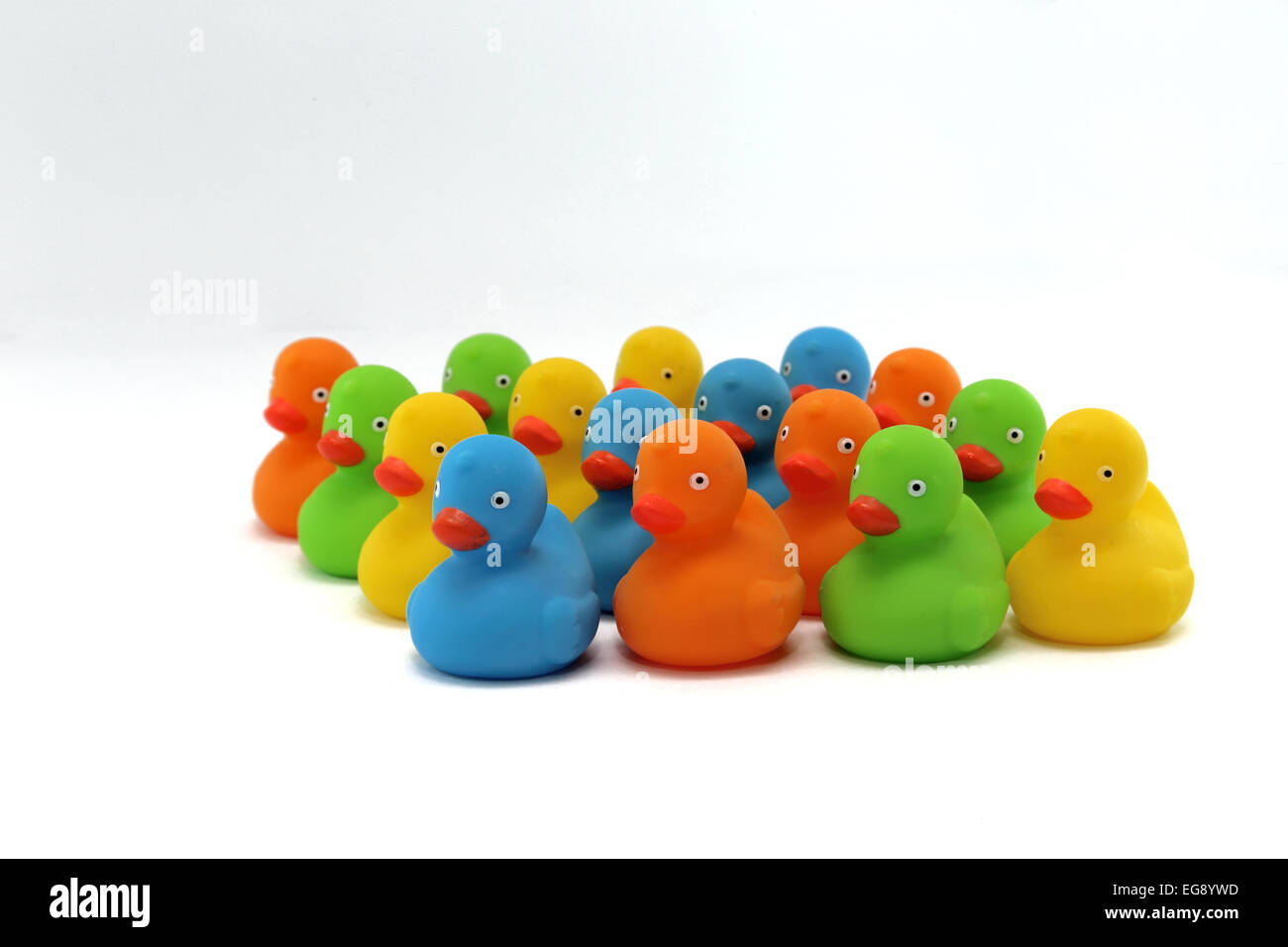 colorful flock of duckling isolated on white background Stock Photo - Alamy
