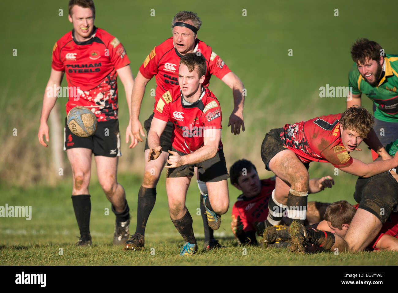 Rugby, scrum half in action Stock Photo - Alamy