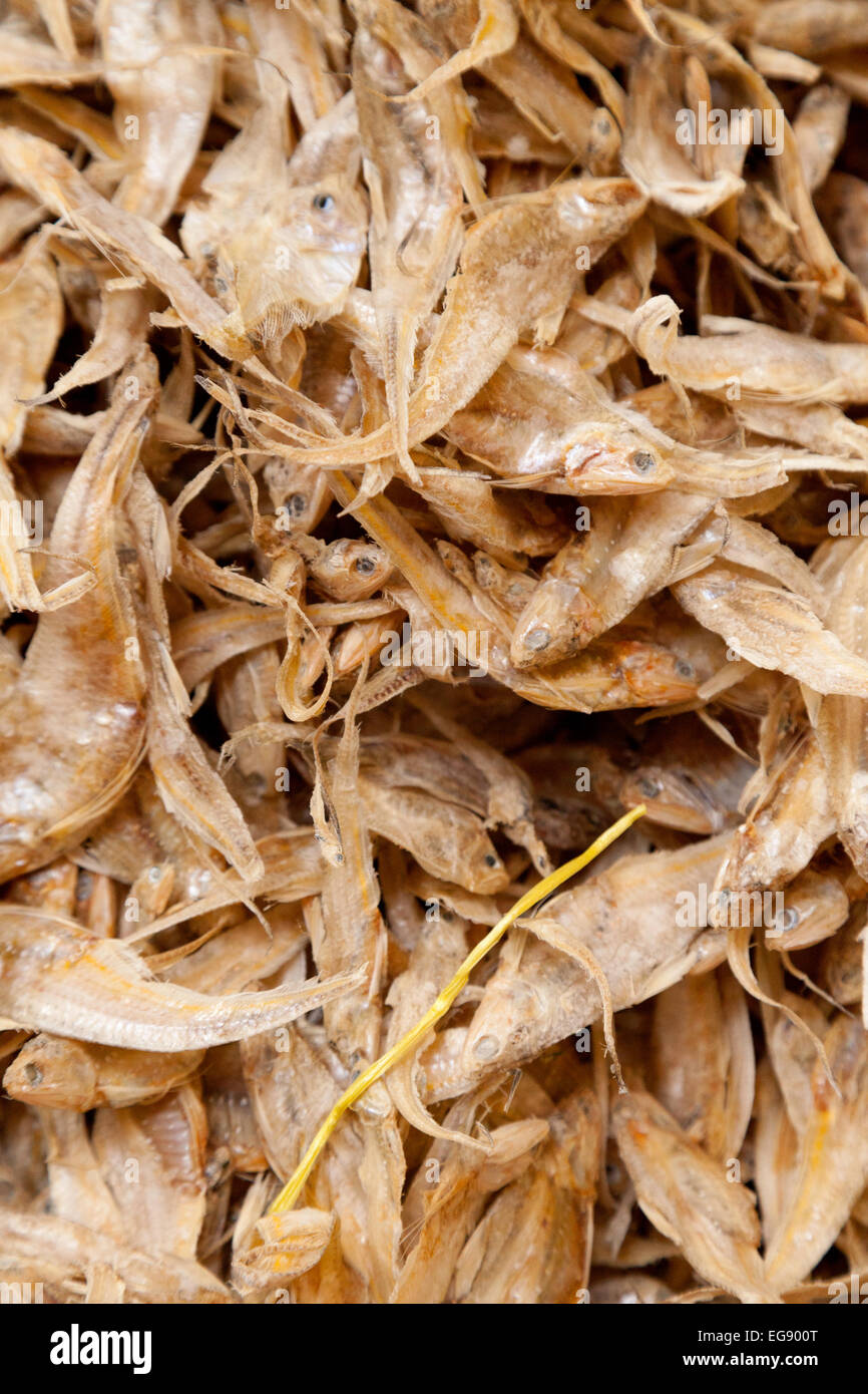 Dried fish for sale, Mani Sithu Market in Nyaung-U village, Bagan ...