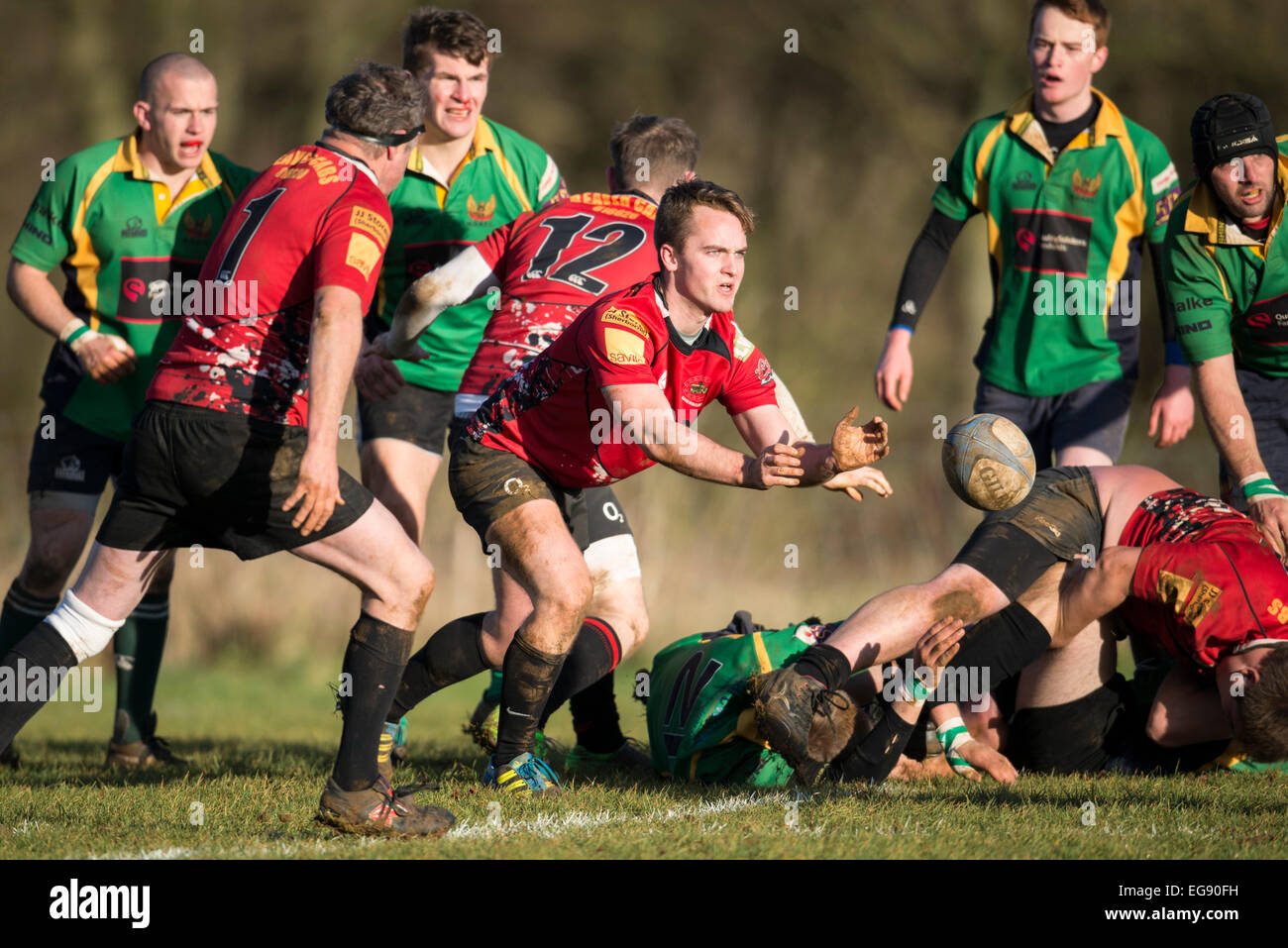 Rugby, scrum half in action Stock Photo - Alamy Rugby, scrum half in action Stock Photo - Alamy