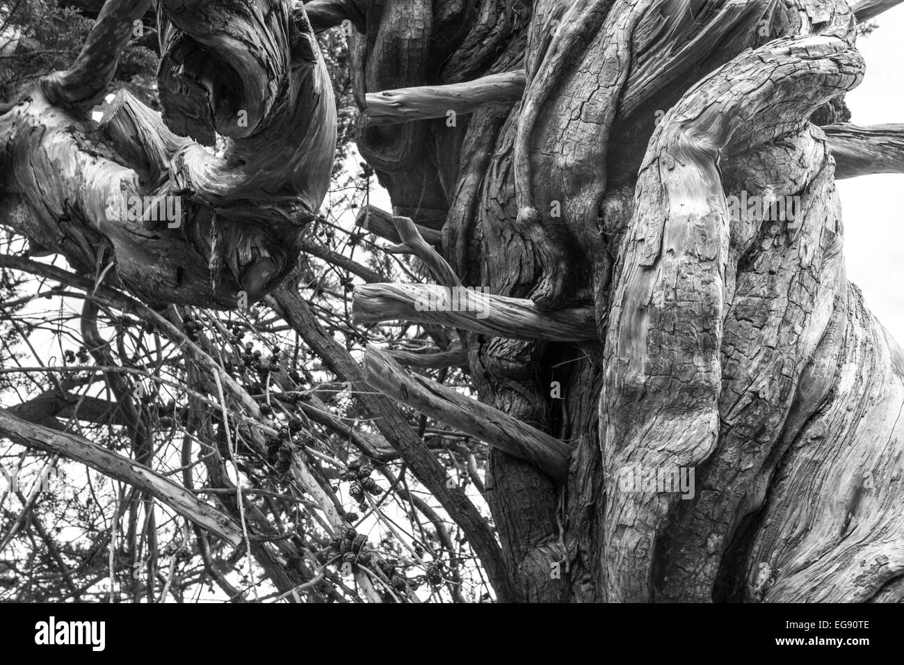 Church of St James Birdham Sussex Stock Photo - Alamy