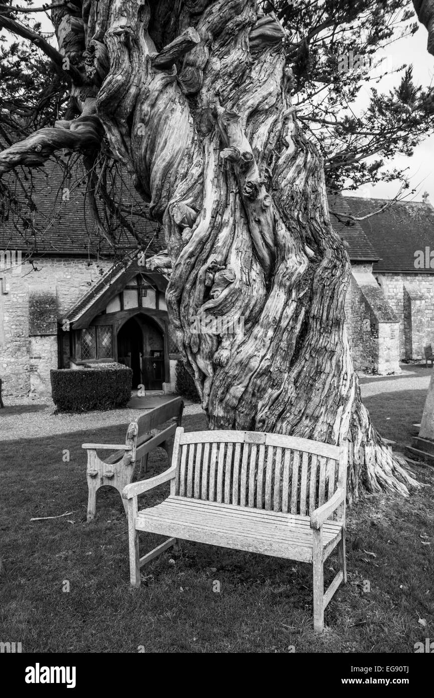 Birdham hi-res stock photography and images - Alamy