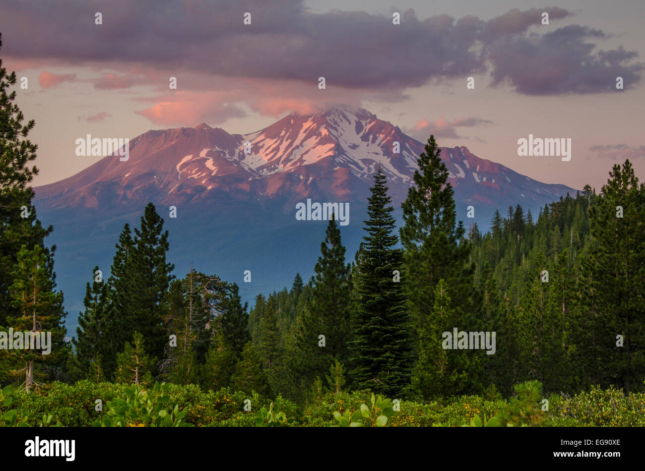 Mount Shasta alpenglow, northern California Stock Photo - Alamy