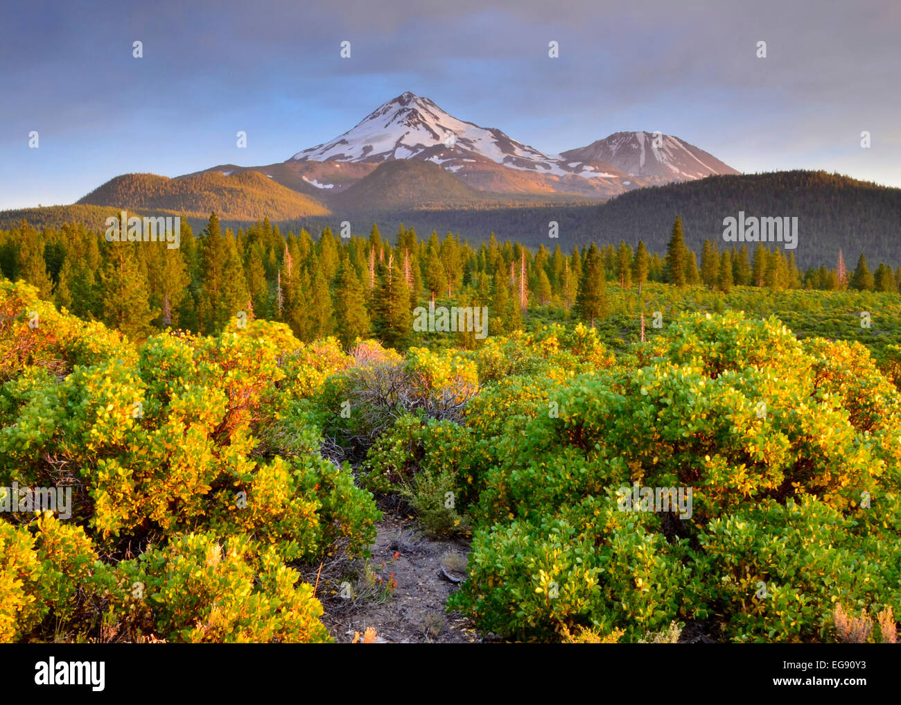 Mount Shasta Summer Stock Photo - Alamy
