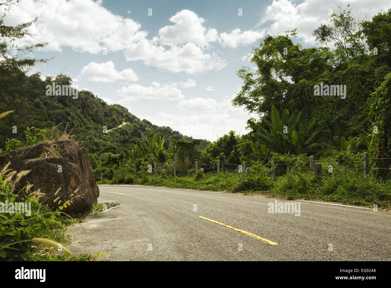 panoramic view of nice exotic road in tropic environment Stock Photo ...