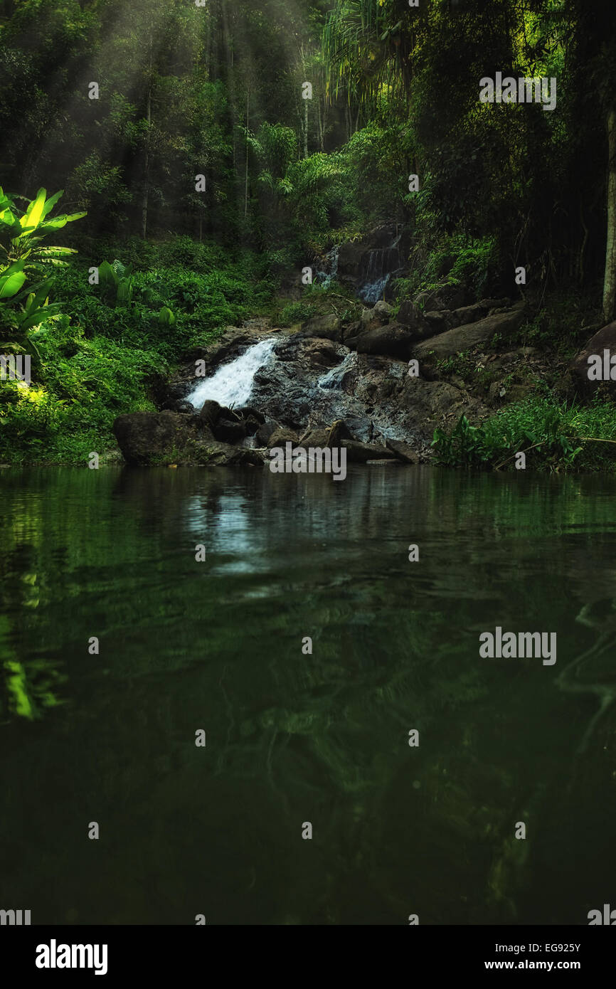 panoramic view of nice tropic jungle and huge boulders Stock Photo - Alamy