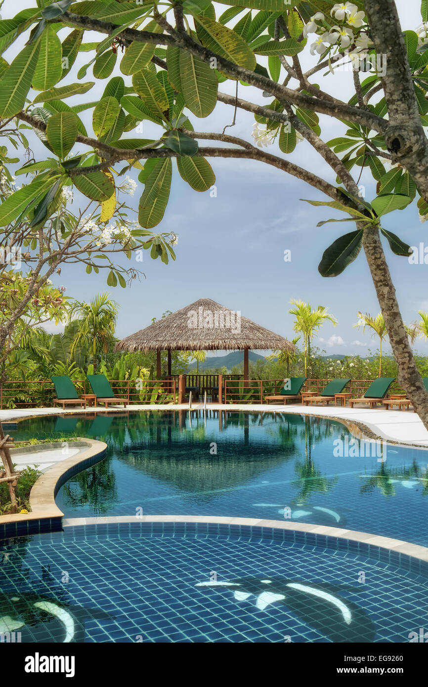view of nice tropical pool with exotic hut on the back Stock Photo - Alamy