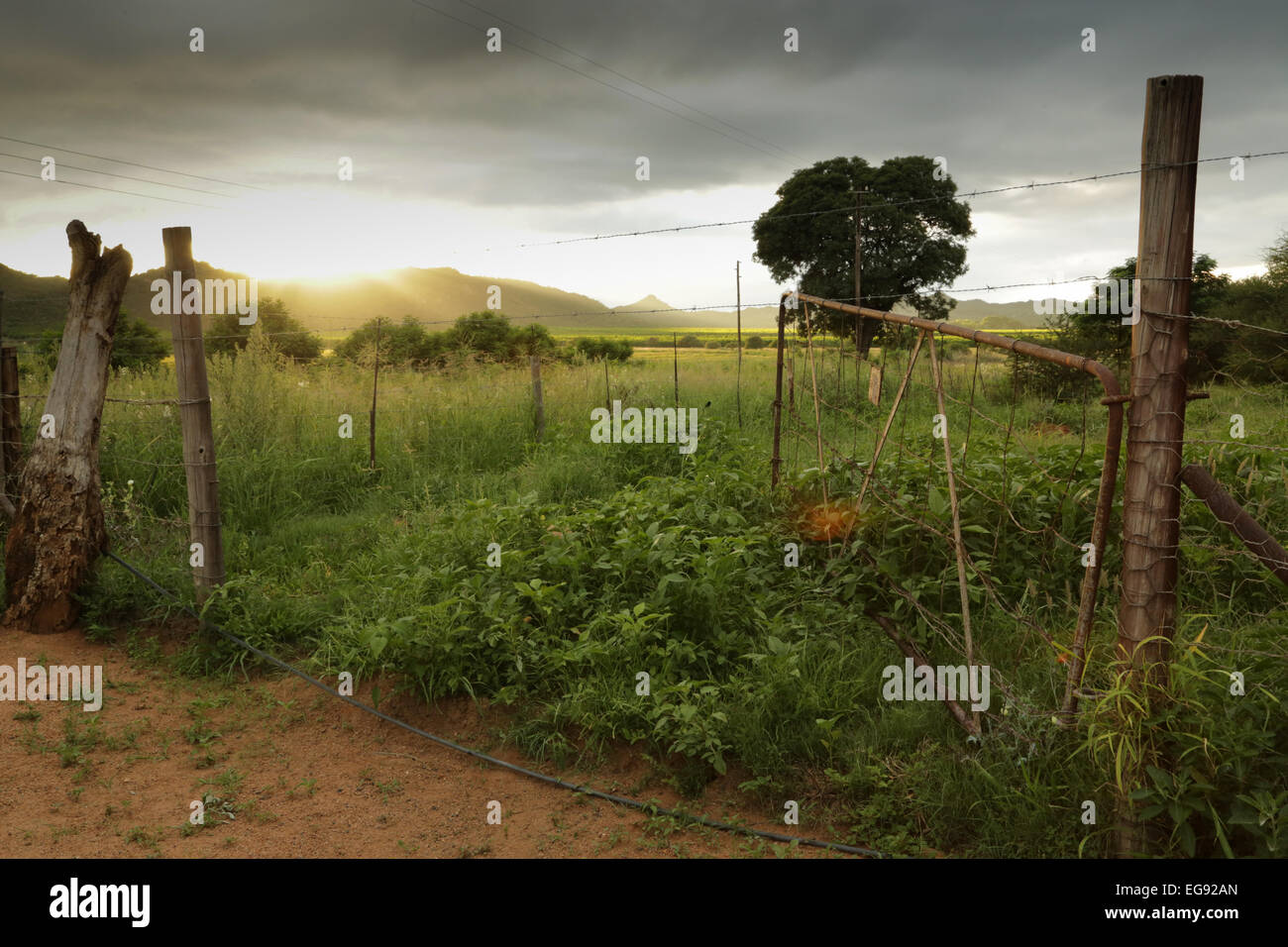 Morning on the farm hi-res stock photography and images - Alamy
