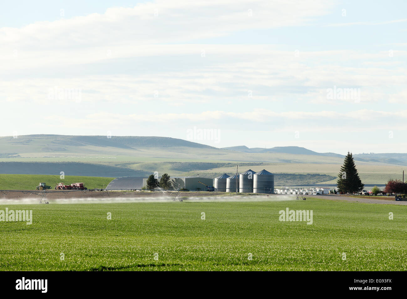 A traditional farm scene with crops and buildings Stock Photo - Alamy