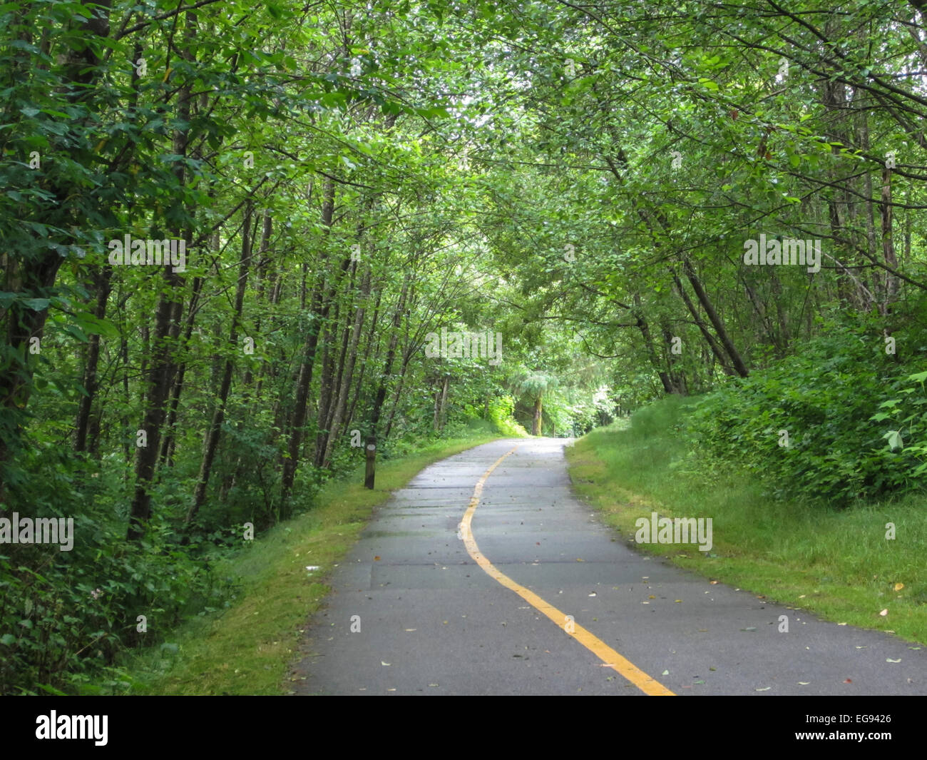 Bike trail through a wooded urban park with green trees reaching on ...
