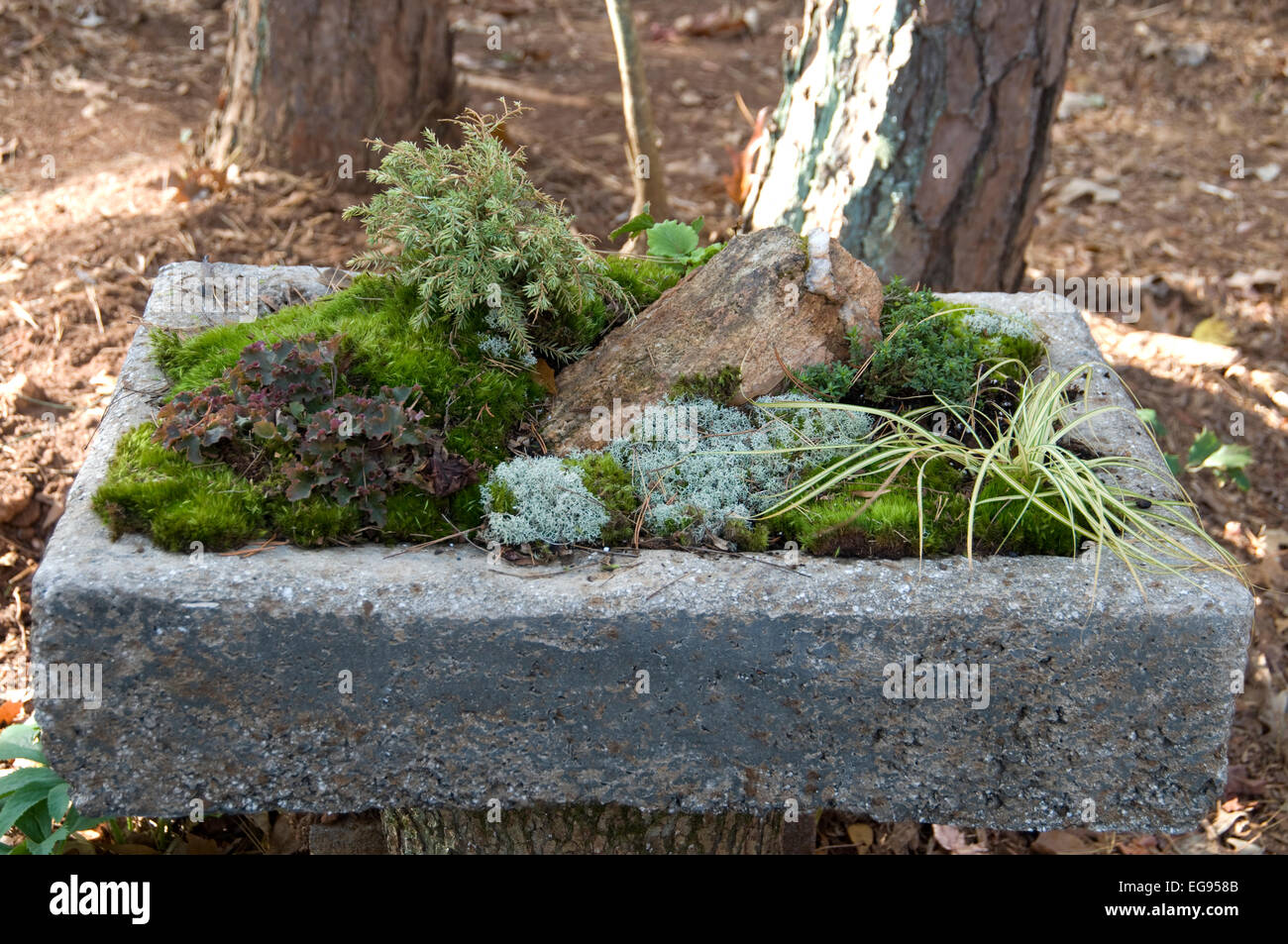 Hypertufa hi-res stock photography and images - Alamy