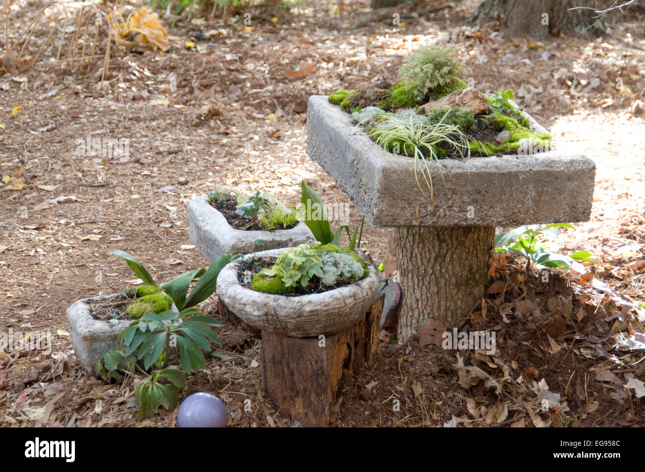 Hypertufa hi-res stock photography and images - Alamy