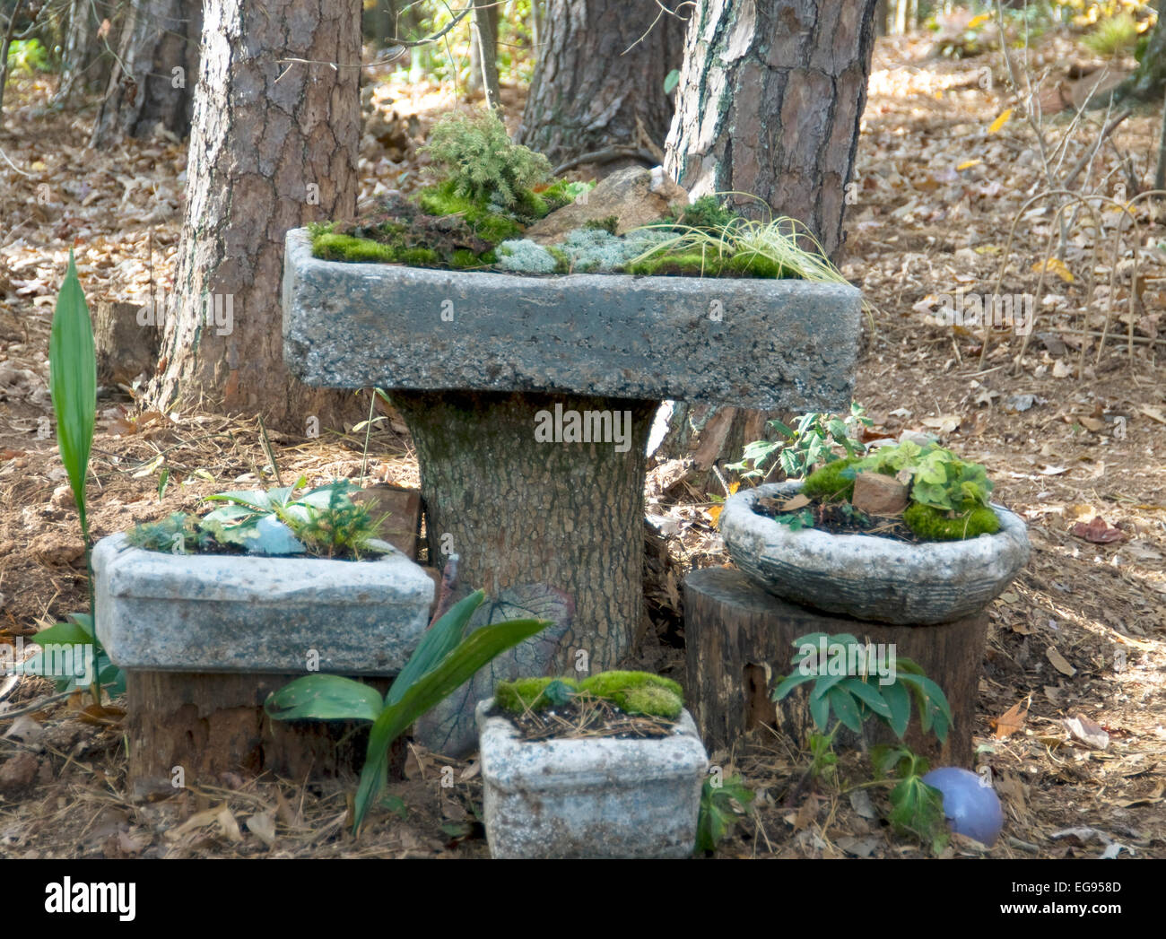 Hypertufa hi-res stock photography and images - Alamy