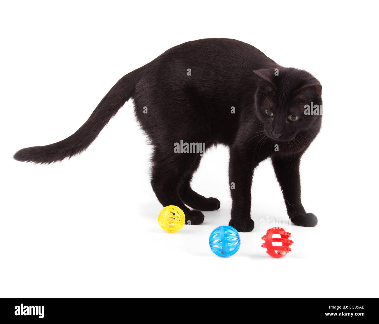 Black and colorful Cut Out Stock Images & Pictures - Alamy