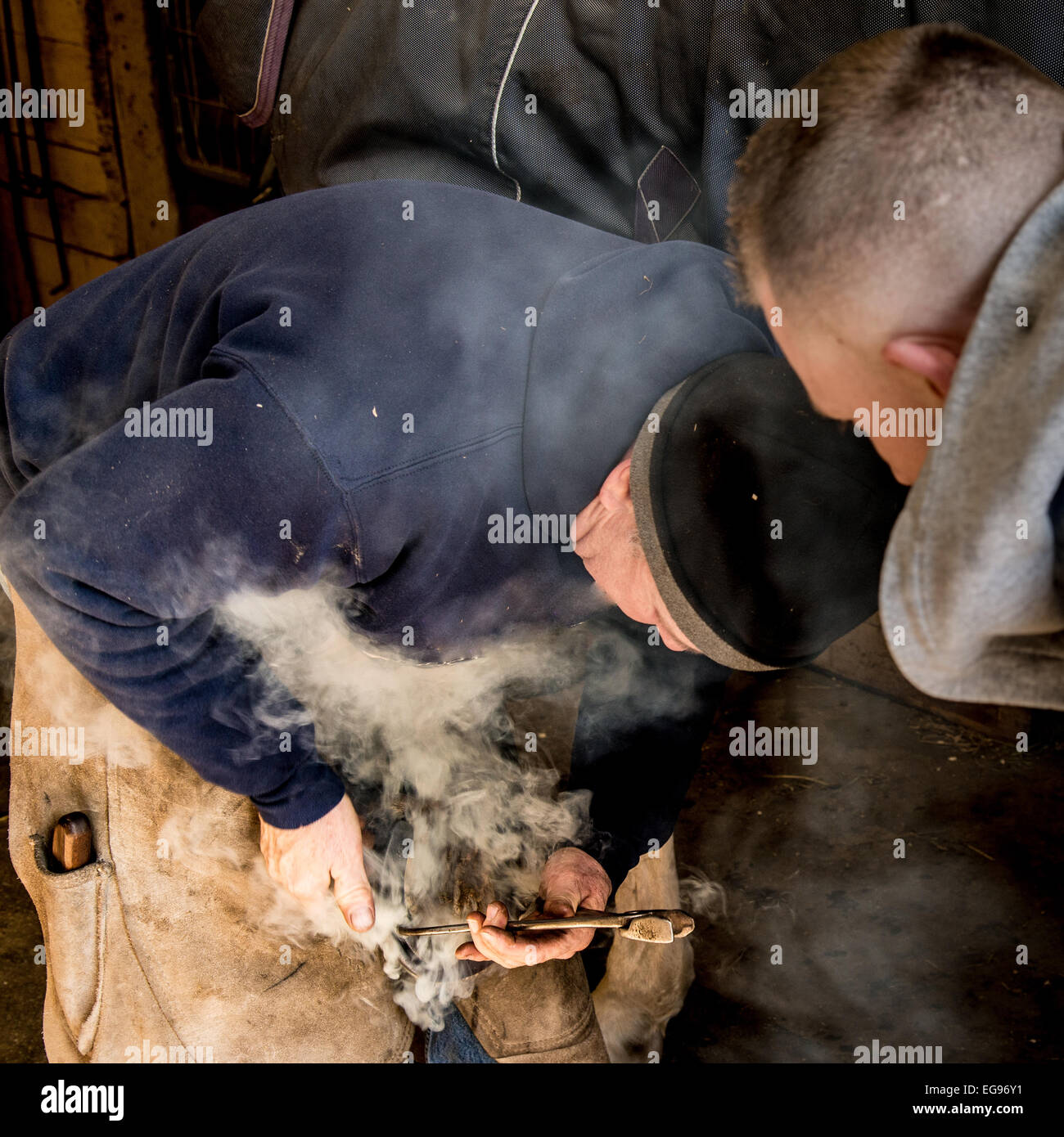 Farrier at Work Stock Photo - Alamy