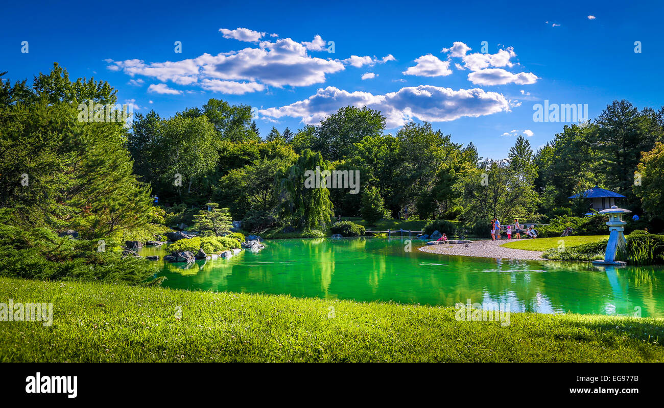 Tranquil botanical image hi-res stock photography and images - Alamy