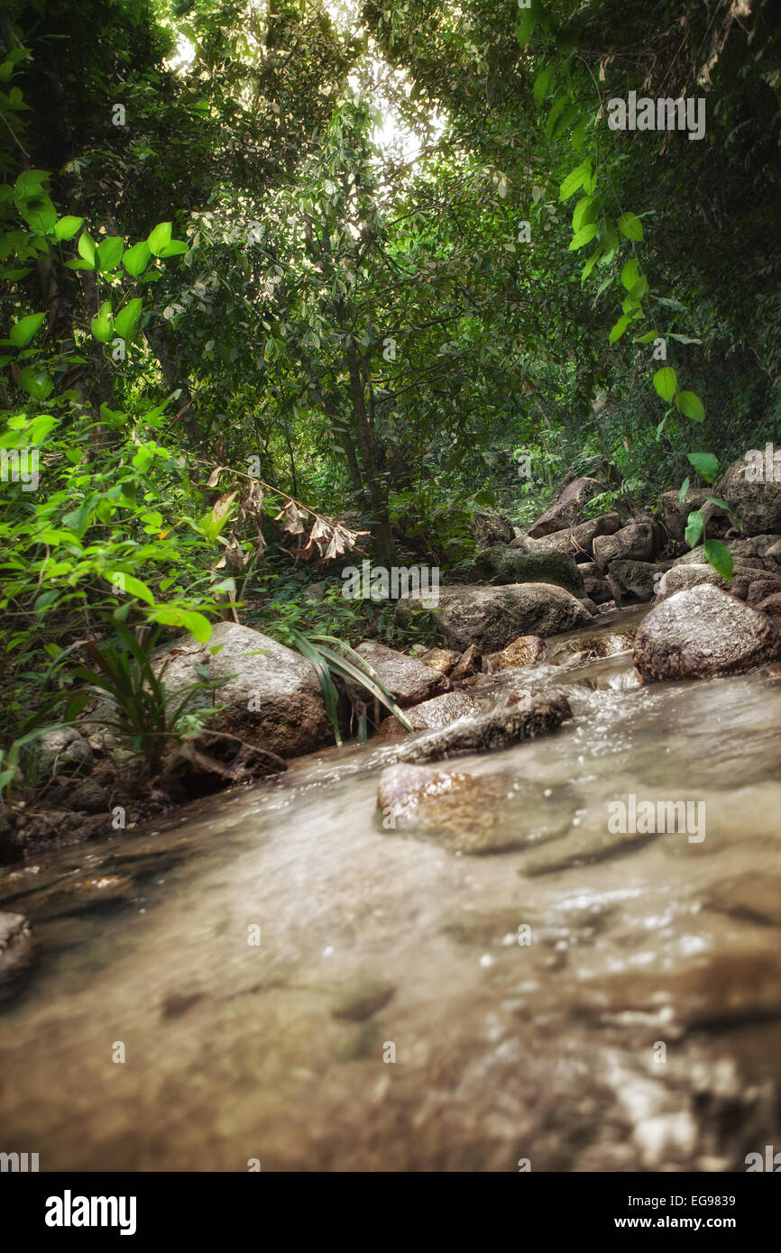 panoramic view of nice tropic jungle and huge boulders Stock Photo - Alamy
