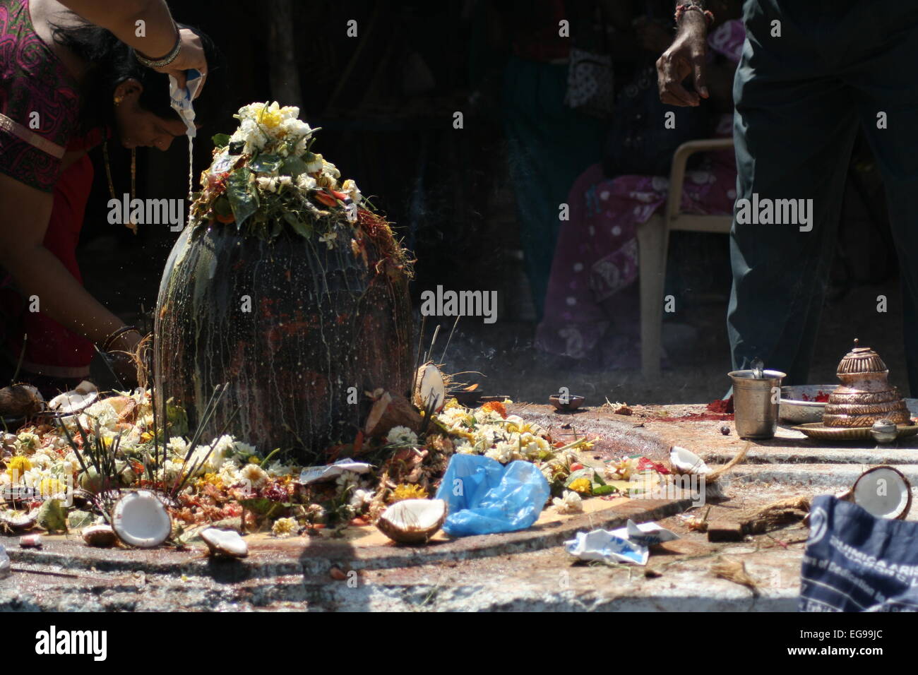 Hindu devotees perform puja to lord siva on maha sivaratri day in ...