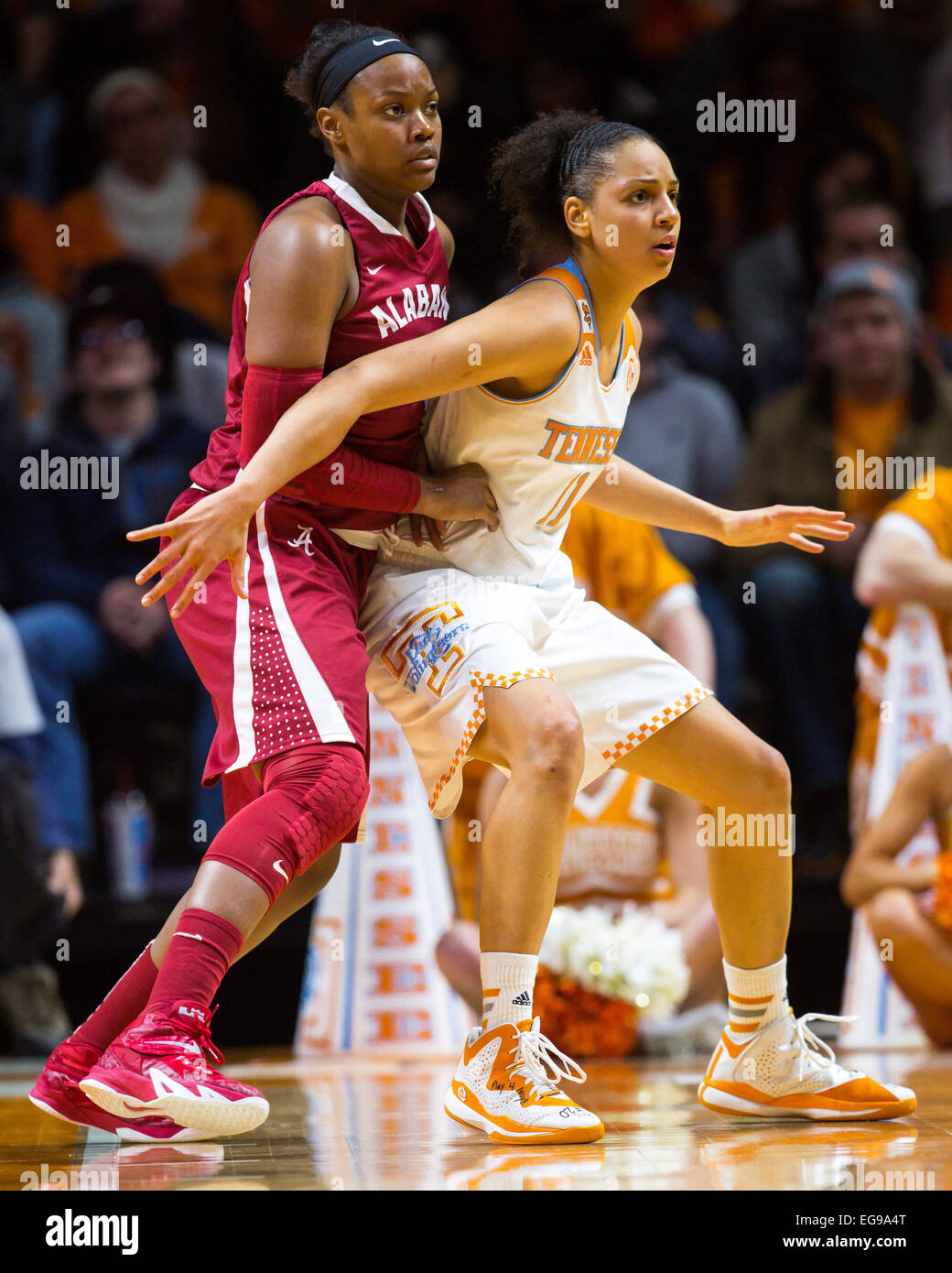 February 19, 2015: Cierra Burdick #11 of the Tennessee Lady Volunteers ...
