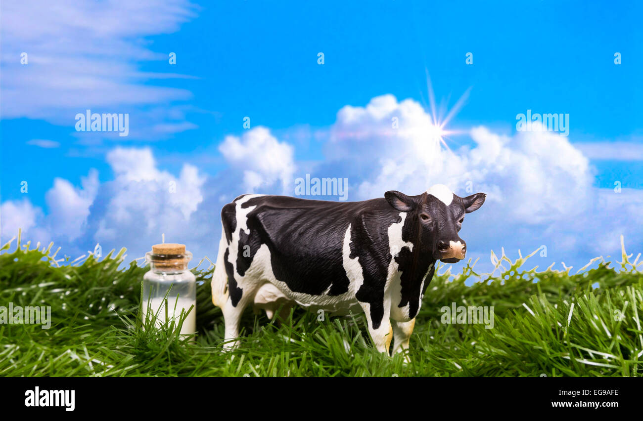 Holstein cow hi-res stock photography and images - Alamy