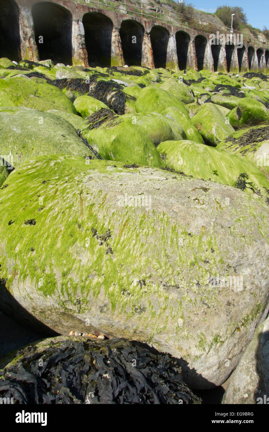 Seaside rocks hi-res stock photography and images - Alamy
