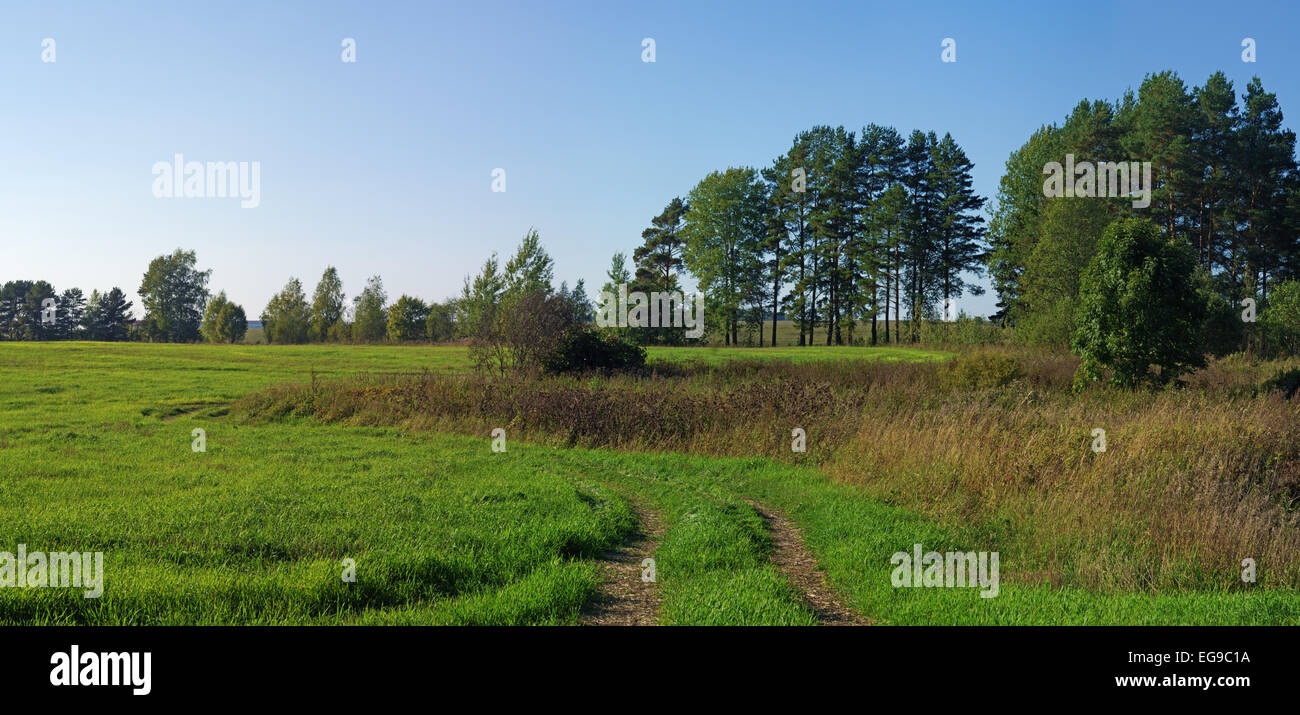 Tall Tree Across Road High Resolution Stock Photography and Images - Alamy