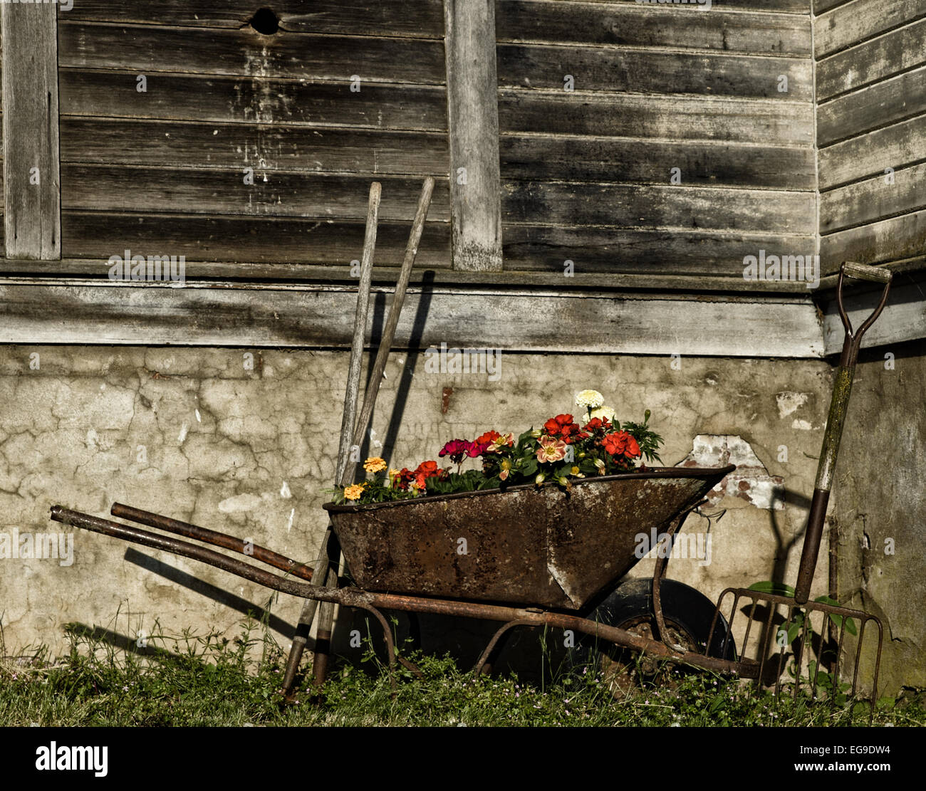 Wheelbarrow farm shovel hi-res stock photography and images - Alamy