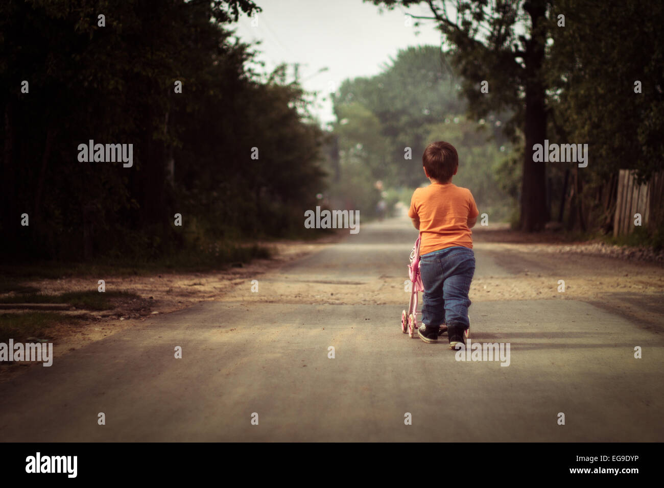 Rear view of boy pushing cart Stock Photo - Alamy