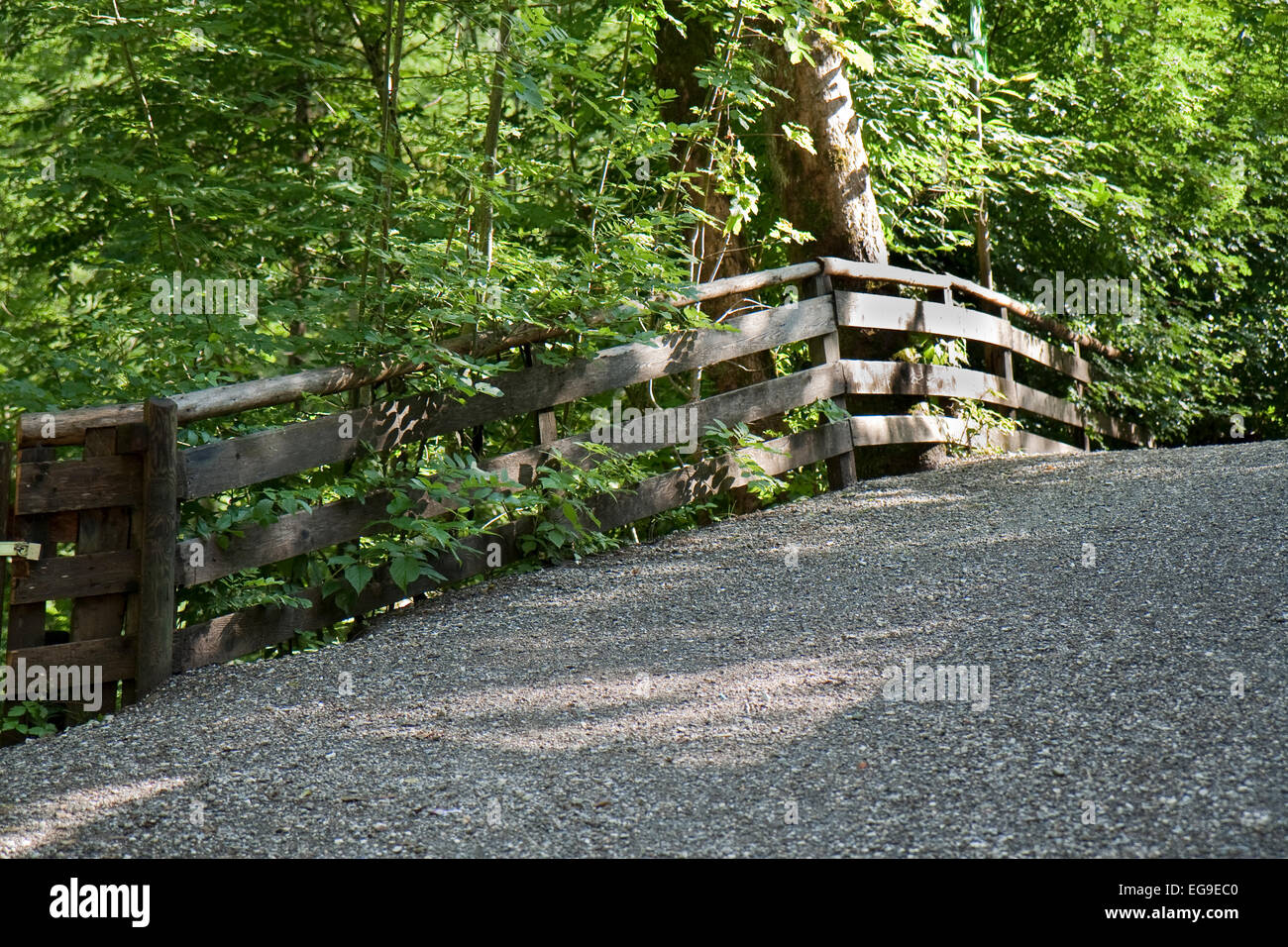 Railing at a path in a forest a Austria Stock Photo - Alamy