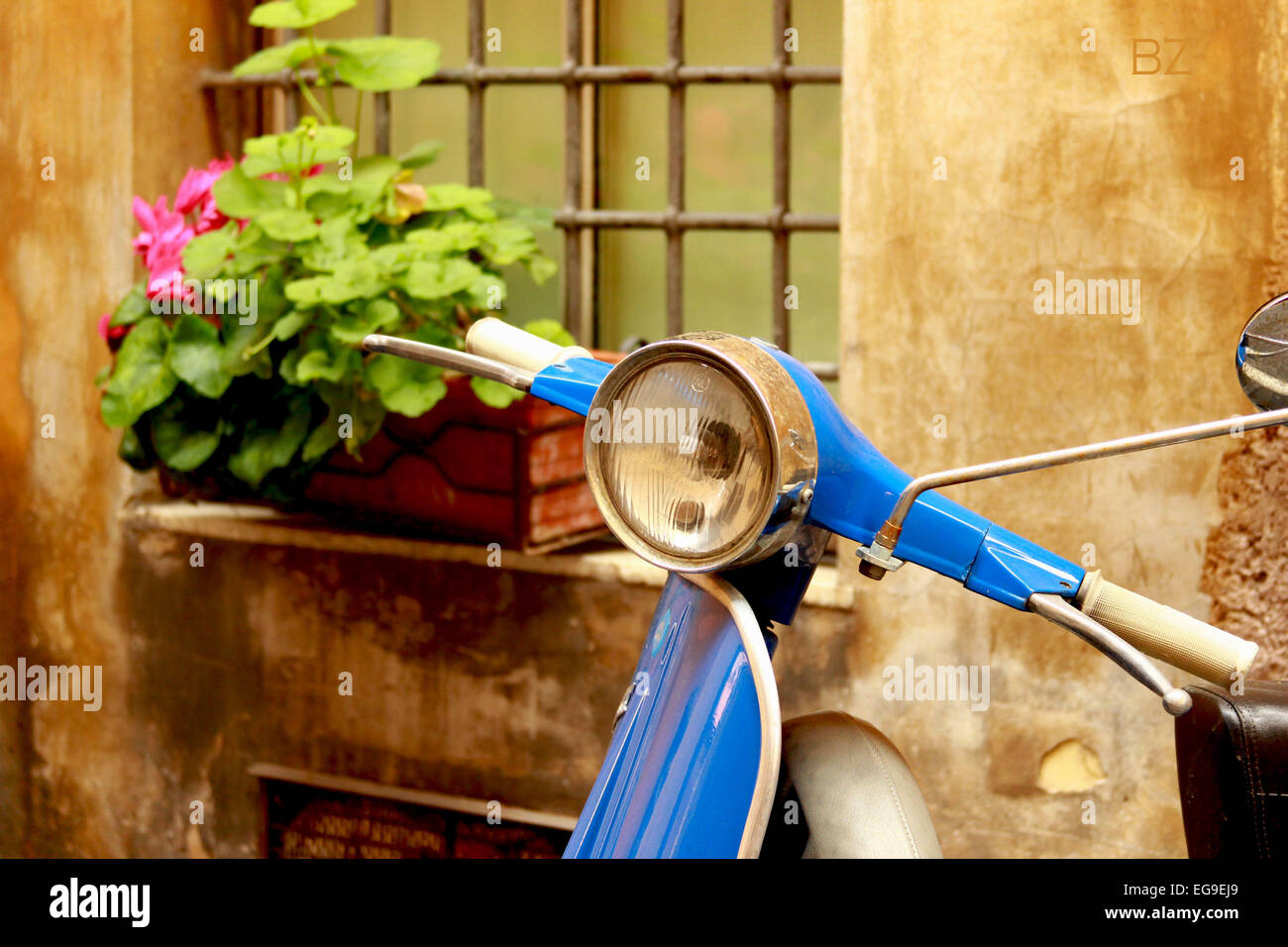Italy, Rome, Close up of motor scooter Stock Photo - Alamy