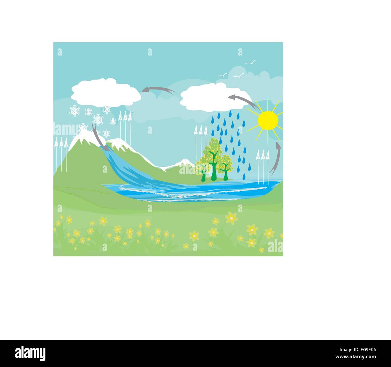 cycle water in nature environment Stock Vector Image & Art - Alamy
