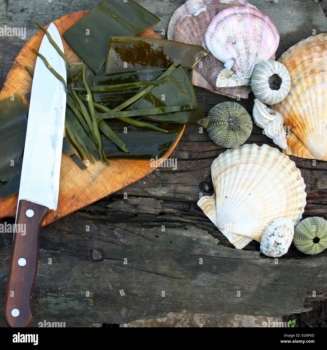 seaweed cut by small pieces for salad Stock Photo - Alamy