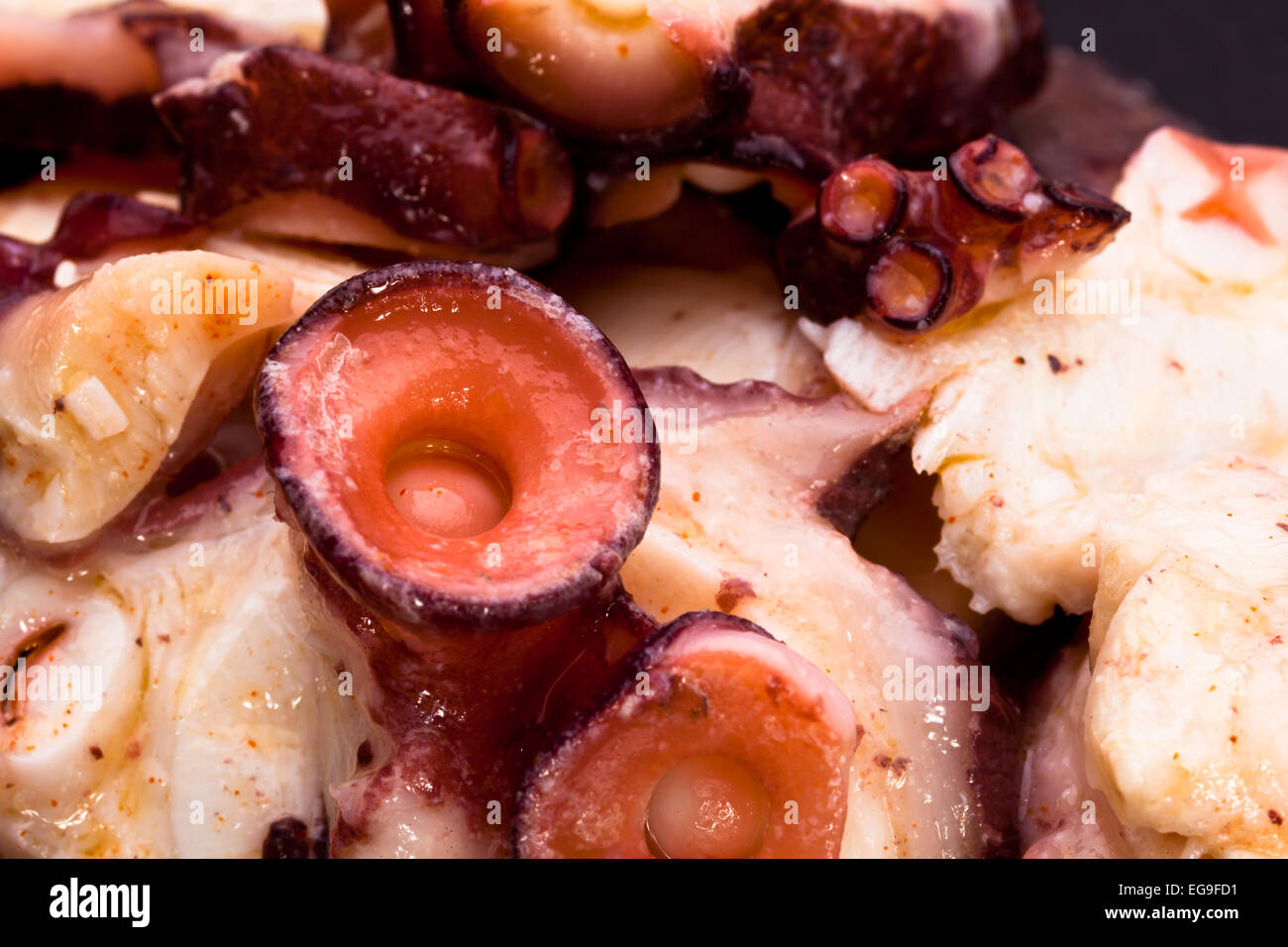 Octopus boiled in slices Stock Photo - Alamy