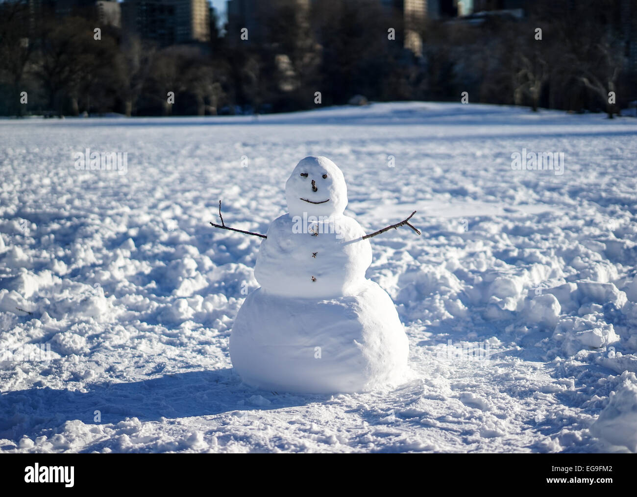Snowman in a garden Stock Photo - Alamy