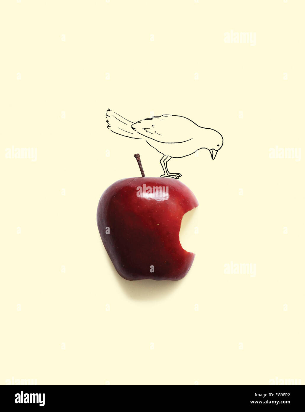 Conceptual bird on apple with a bite missing Stock Photo - Alamy