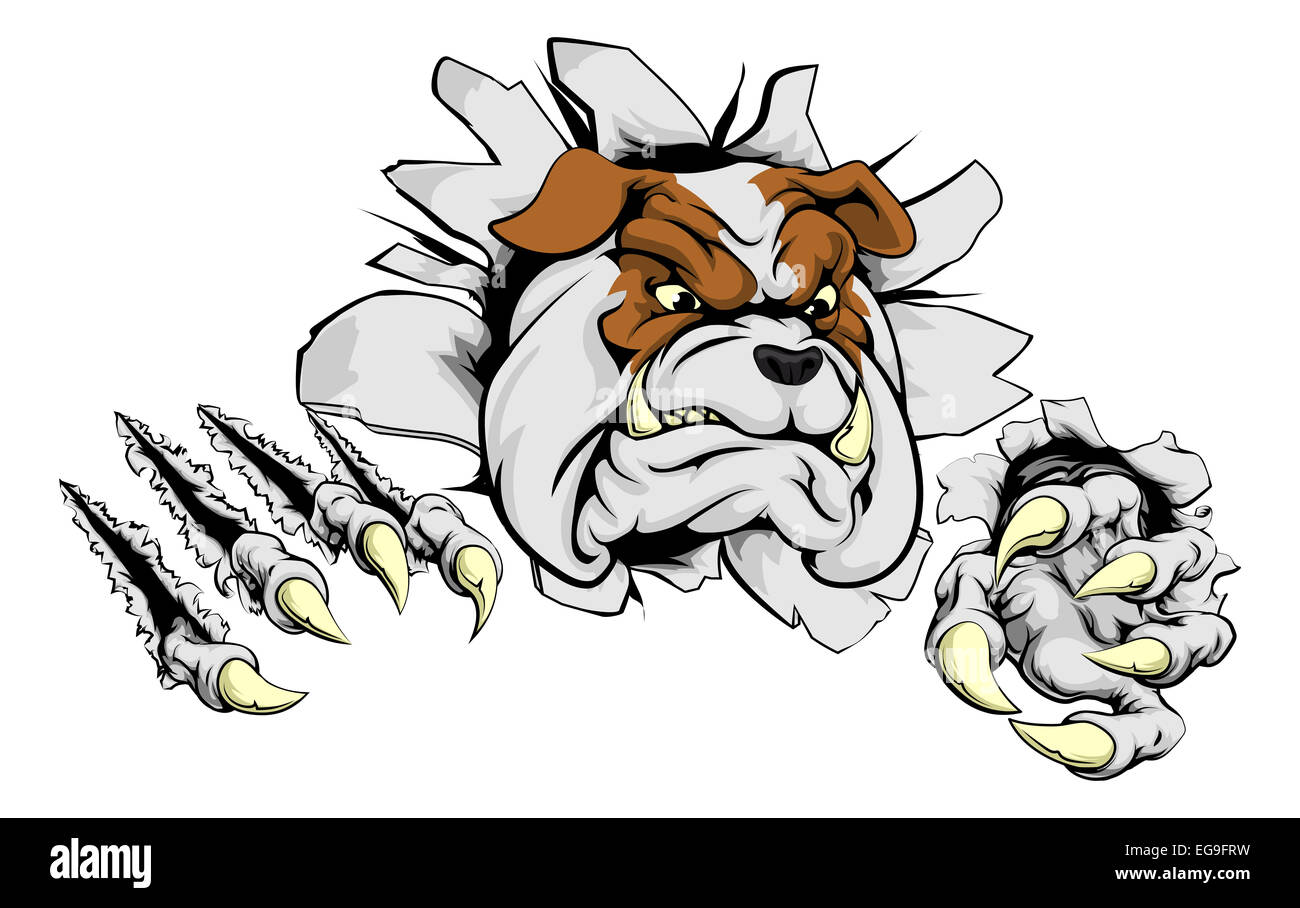 Do Dogs Have Sharp Claws