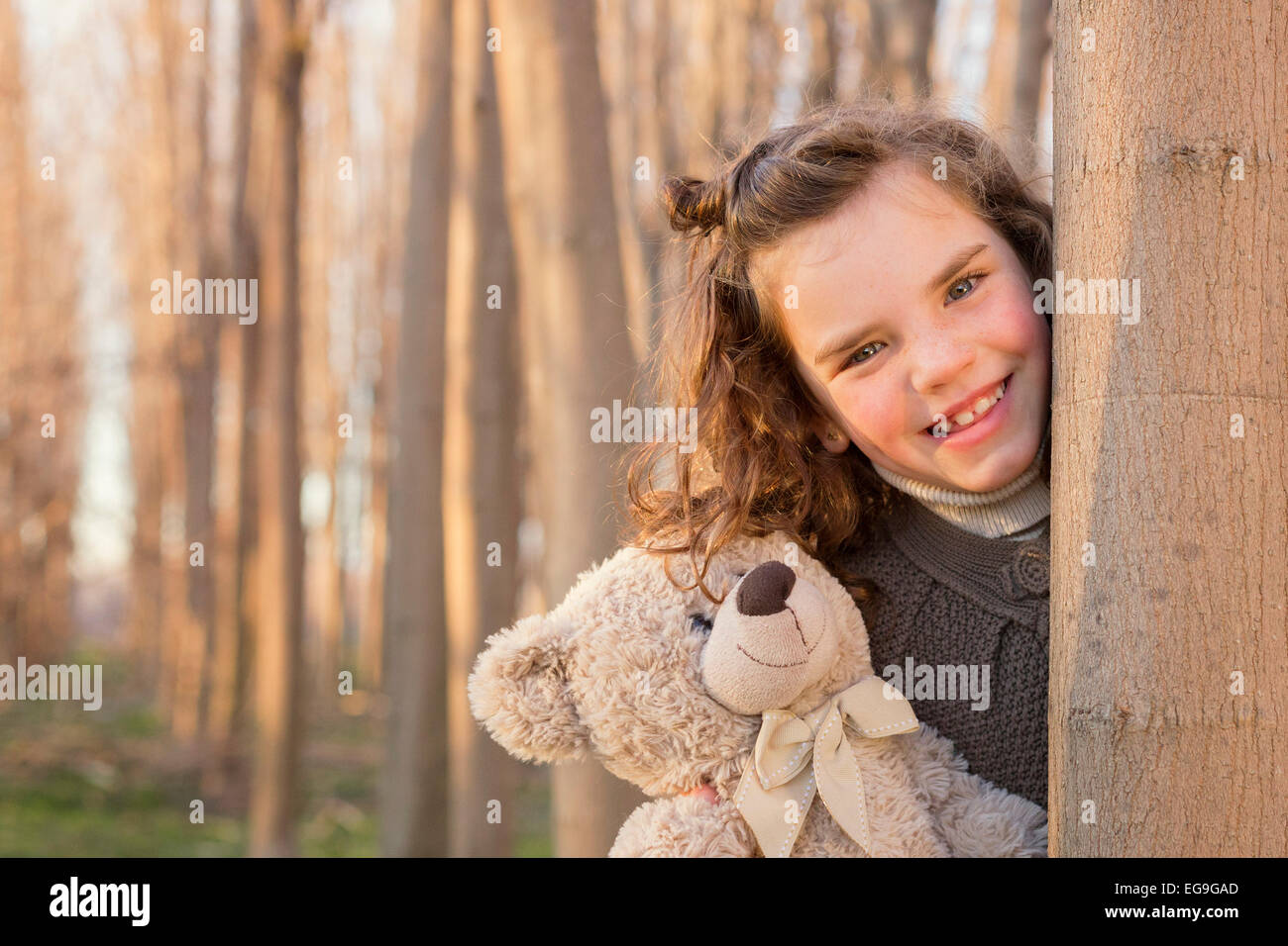 Hiding Behind Tree Animal High Resolution Stock Photography and Images ...