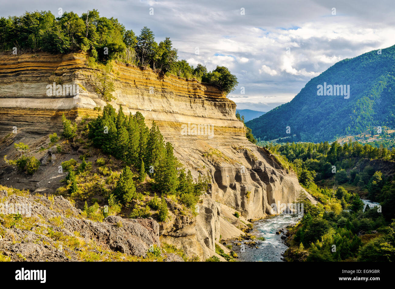 Chile, Araucania, Conguillio National Park, Wooded cliff over river ...