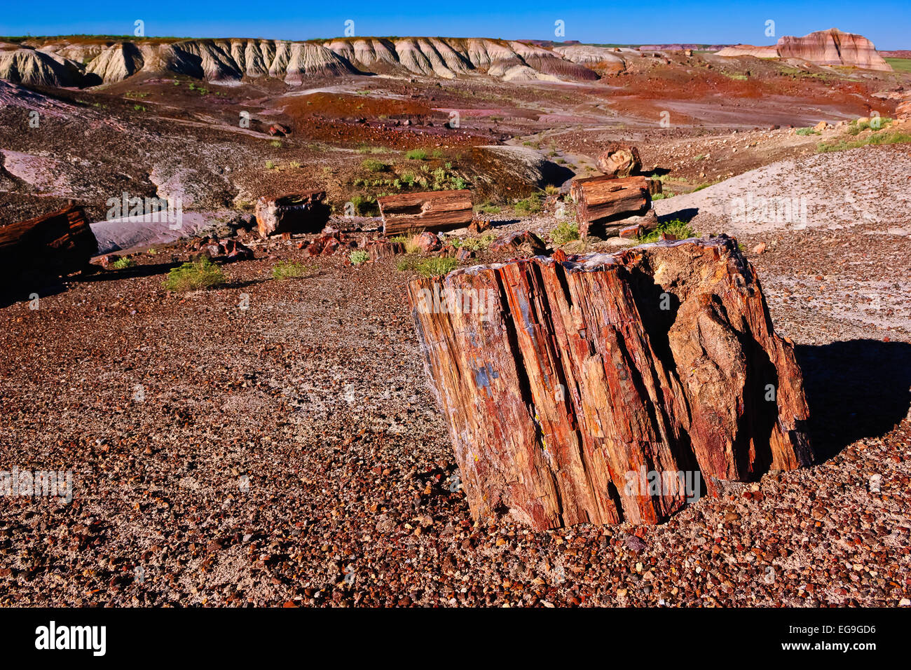 Petrified rocks hi-res stock photography and images - Alamy