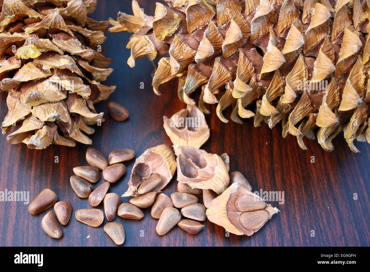 Pine Nut Forest Stock Photos & Pine Nut Forest Stock Images - Alamy