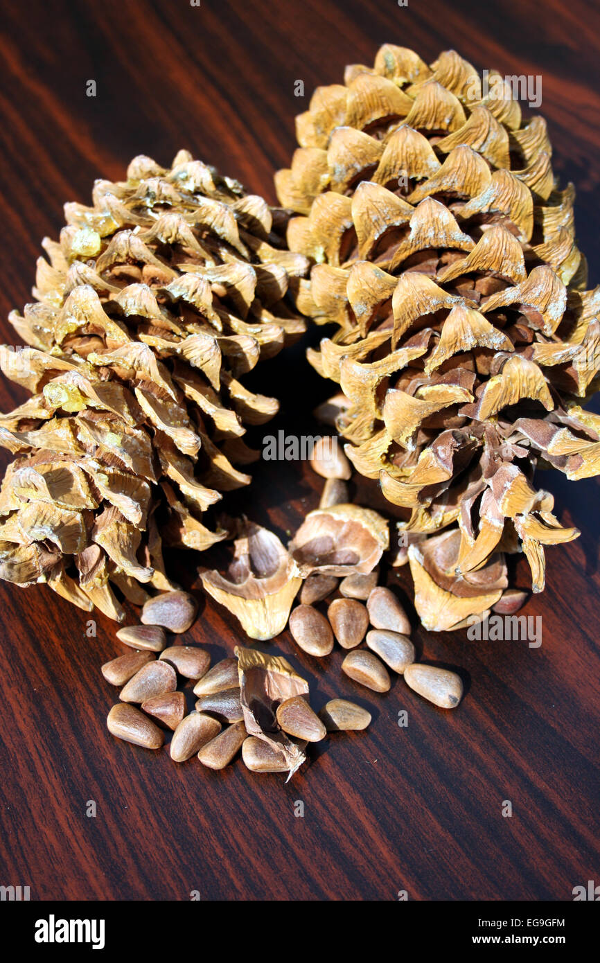 Pine Nut Forest Stock Photos & Pine Nut Forest Stock Images - Alamy