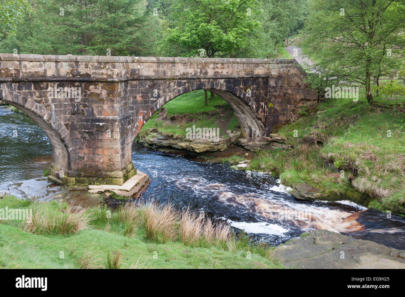 Slippery stones hi-res stock photography and images - Alamy