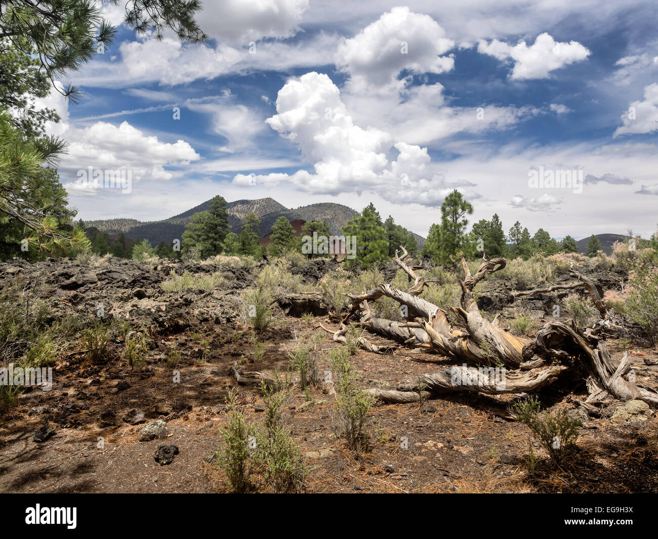 Sunset Crater Volcano National Monument lava flow, Arizona Stock Photo ...