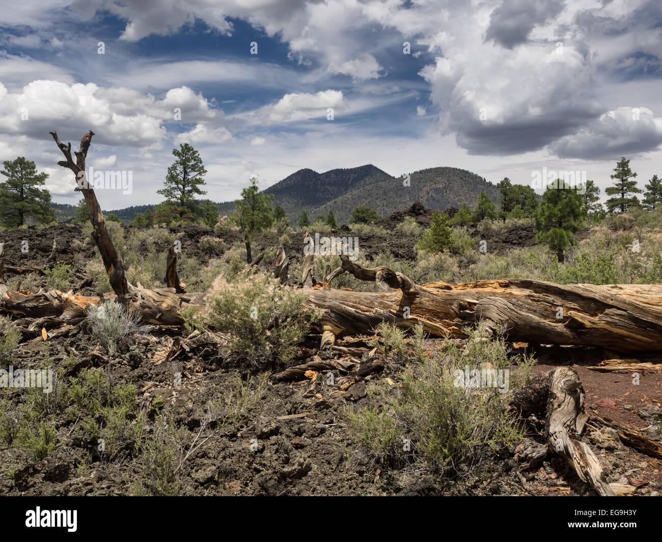 Arizona volcano hi-res stock photography and images - Alamy