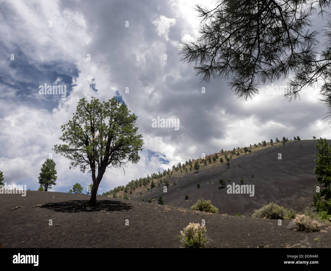 Sunset Crater Volcano National Monument lava flow, Arizona Stock Photo ...