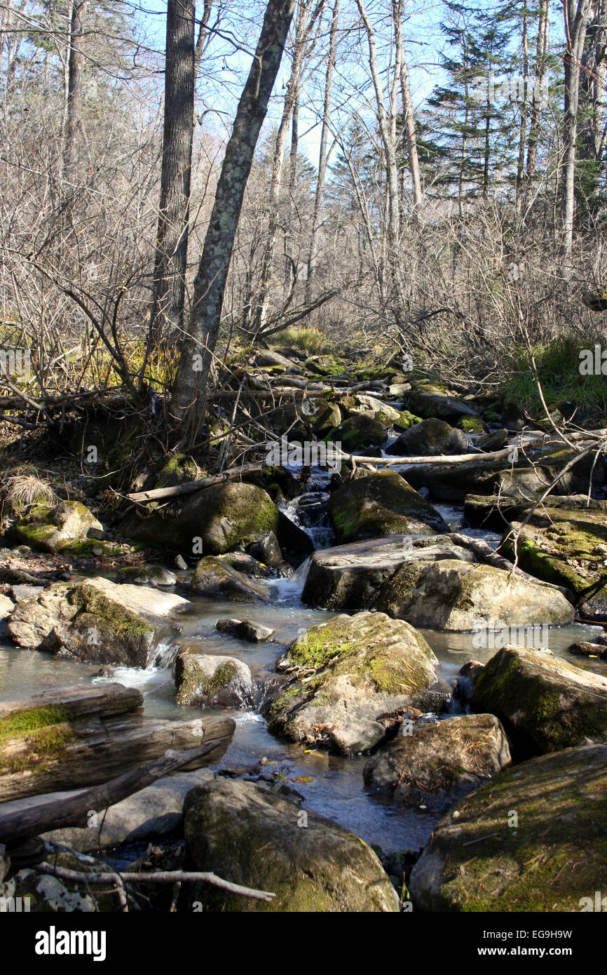Rapid river flows on stony hi-res stock photography and images - Alamy