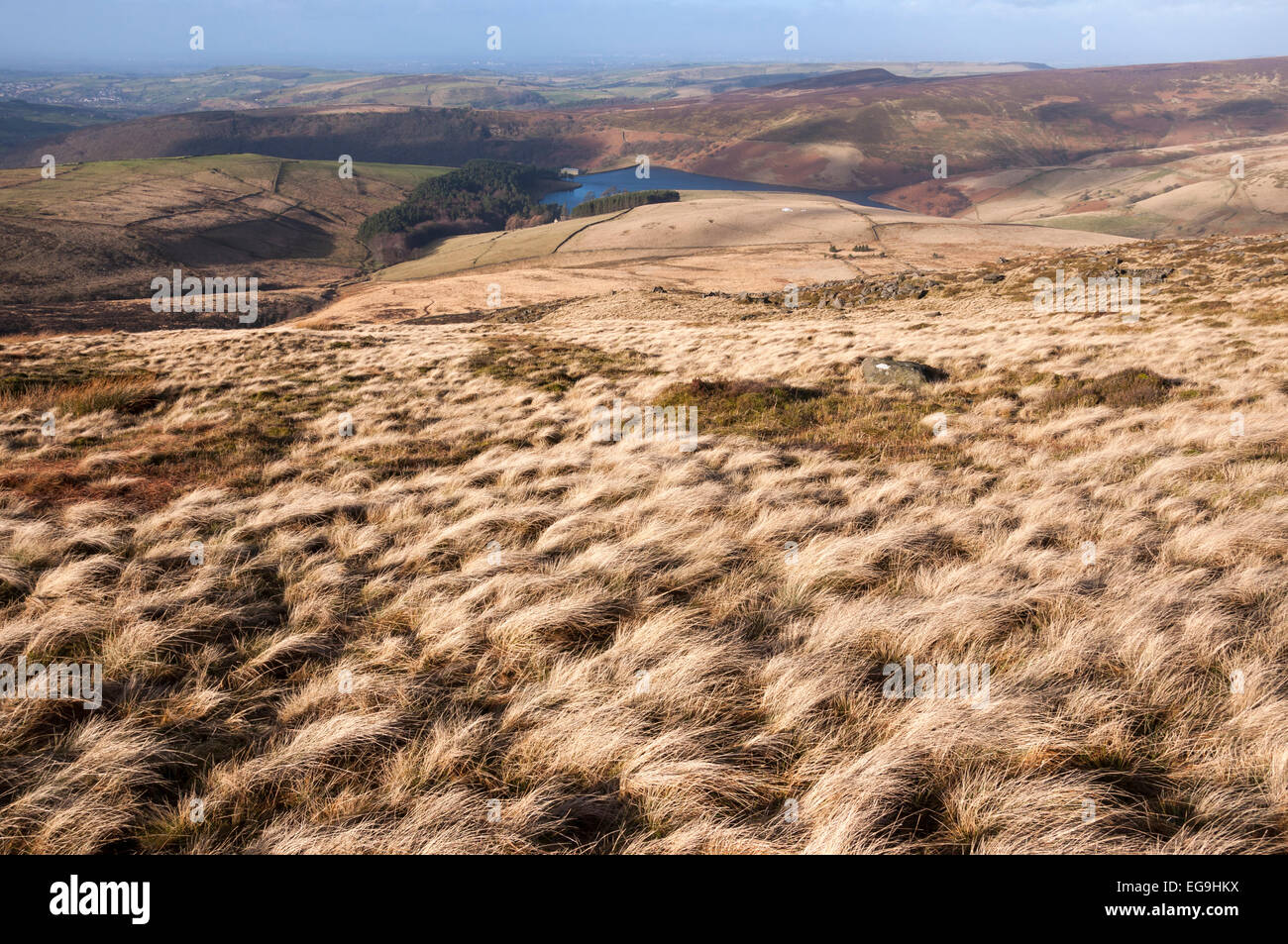 Windy moor High Resolution Stock Photography and Images - Alamy