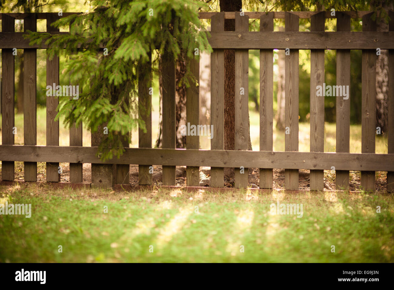 Sun shining through wooden fence Stock Photo - Alamy